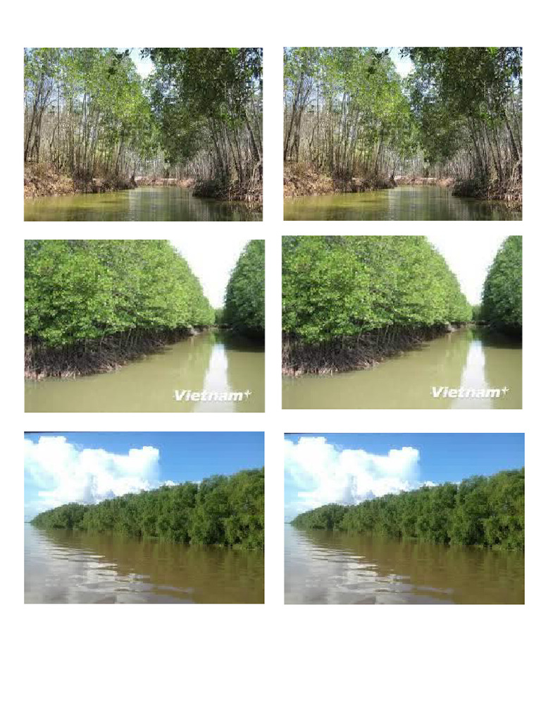 Anh Rung Ngap Man GD DP | PDF