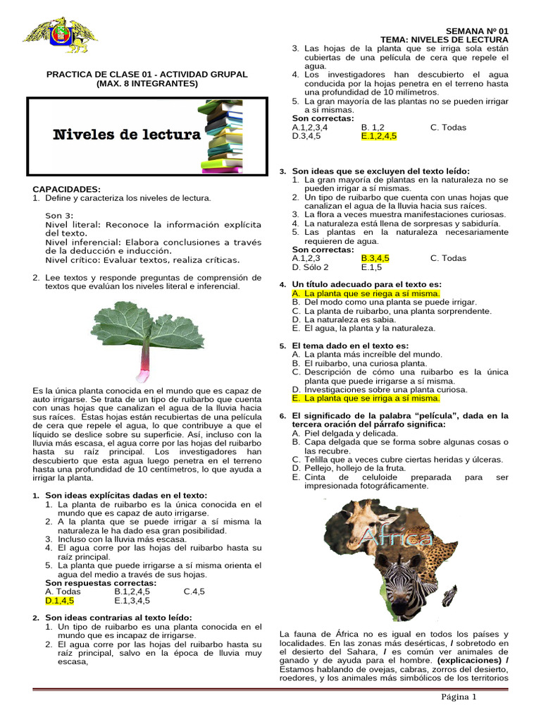 Niveles de lectura y comprensión textual | PDF