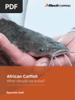 African Catfish: Taxonomy & Distribution | PDF | Fish | Aquatic Animals