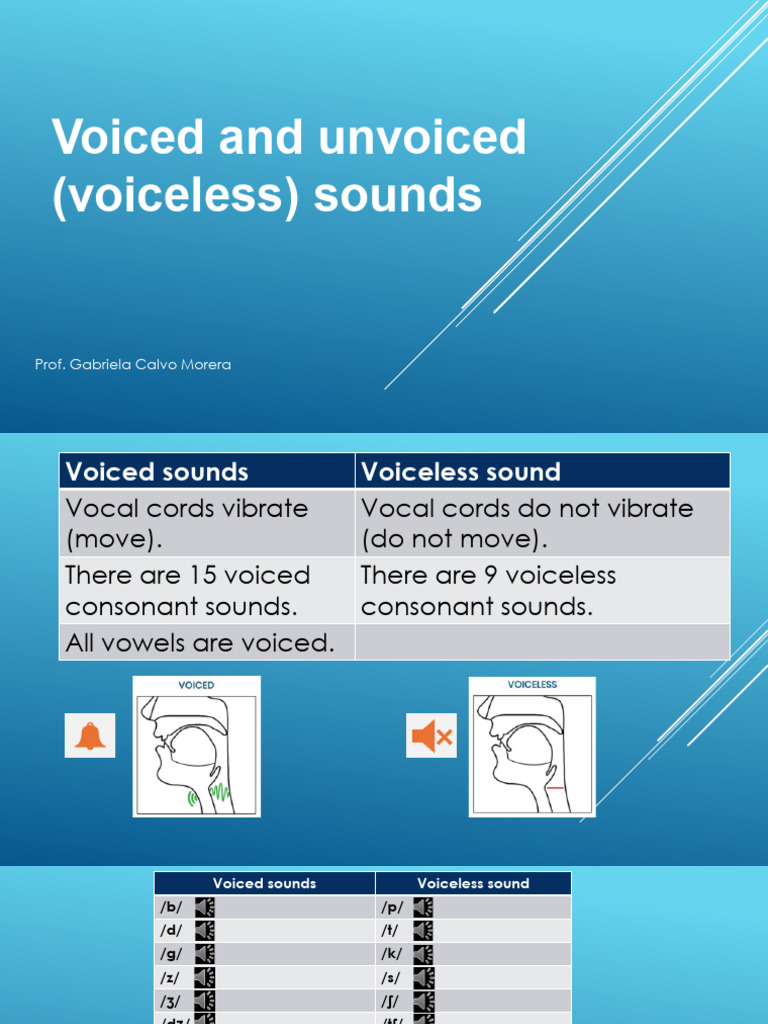 Voiced vs. Voiceless Sounds Explained | PDF