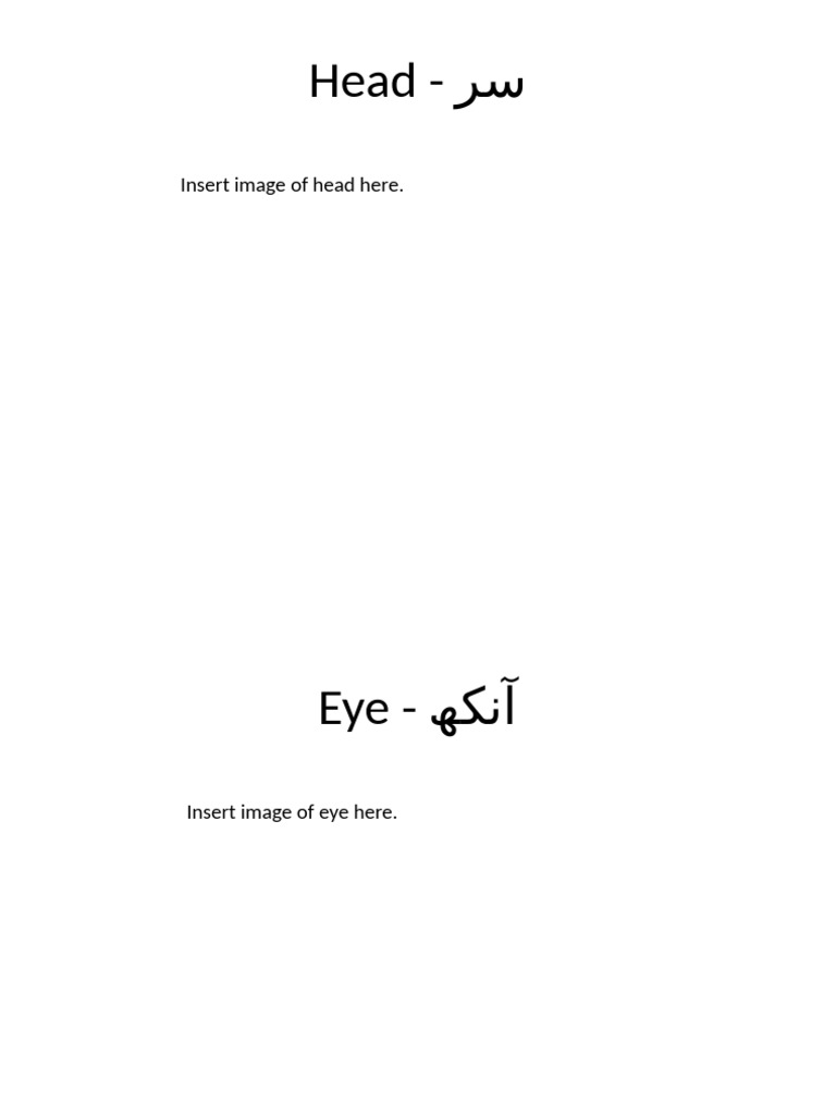 Body Parts English Urdu With Images | PDF