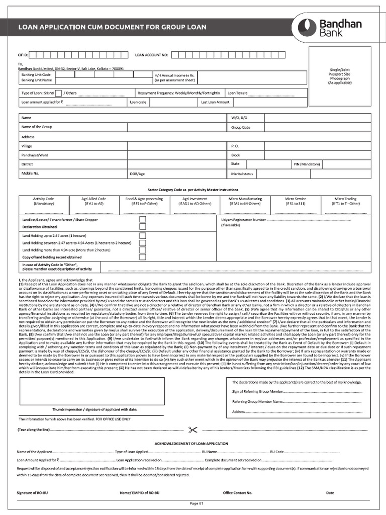 Group Loan Application Form | PDF