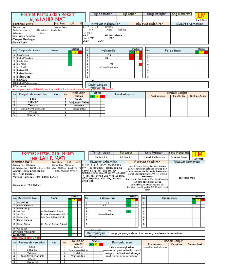 Rekam Jejak Lahir Mati 2025 | PDF