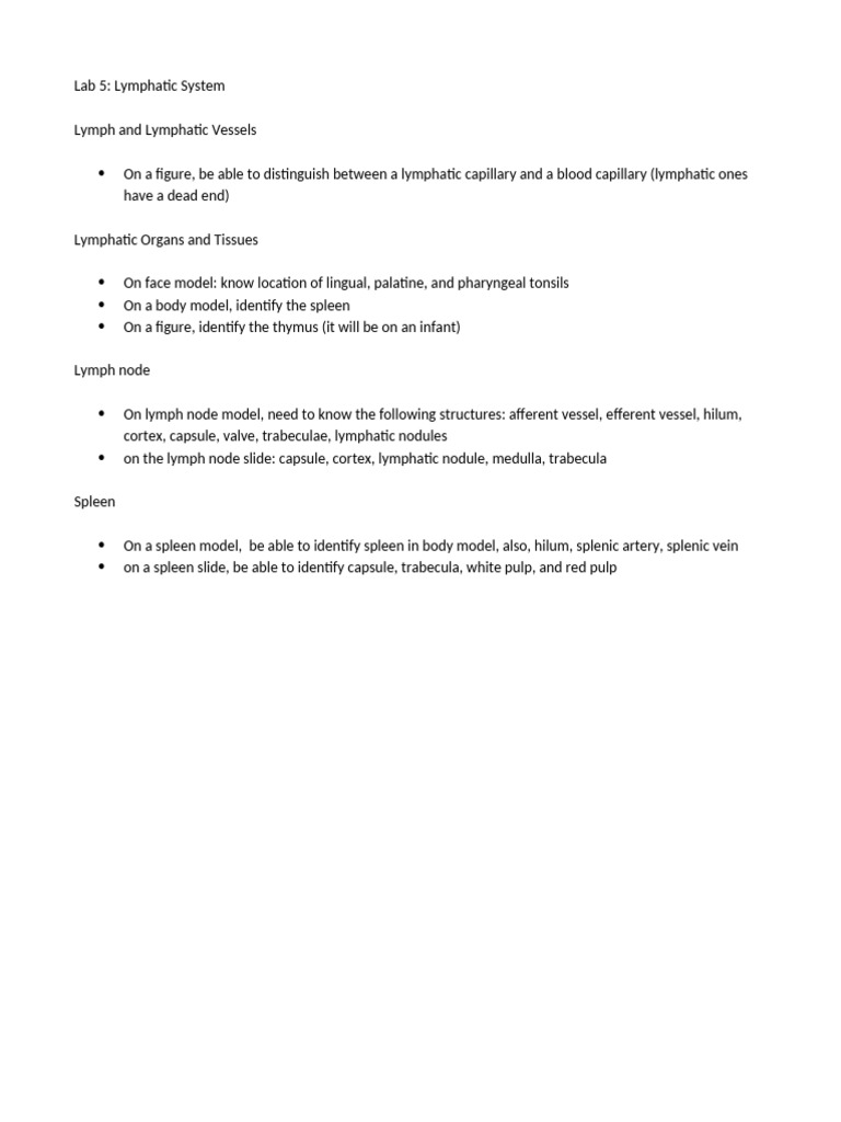 Lab 7 Lymphatic System Structure List | PDF