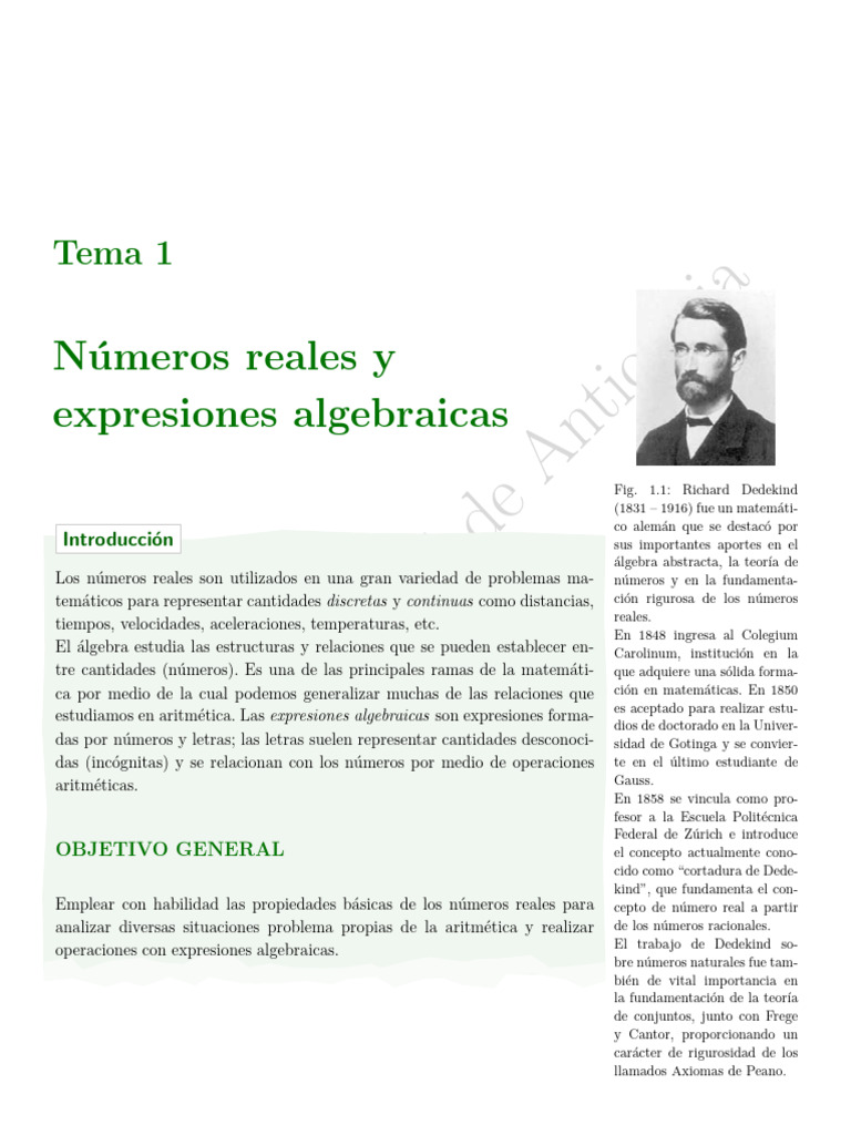Tema Algebra y Matemáticas | PDF | Número racional | Número Real