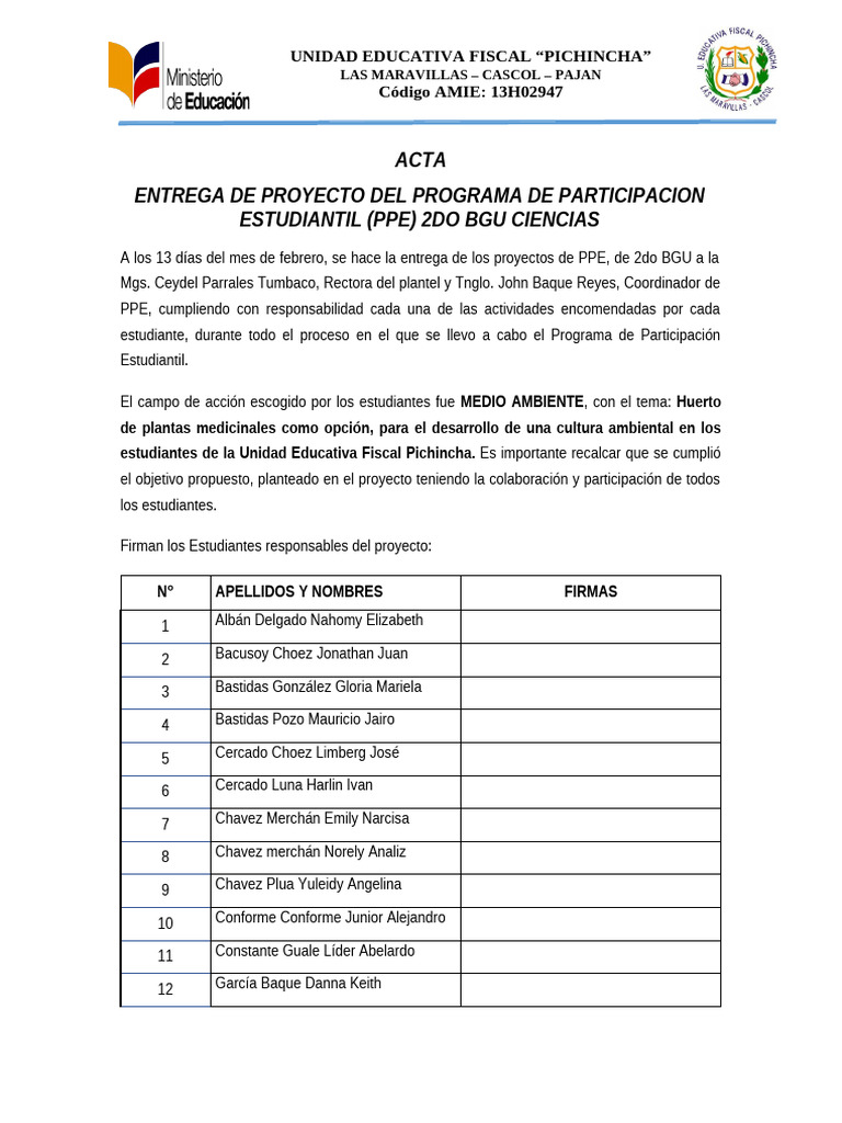 Acta Proyecto Ppe | PDF