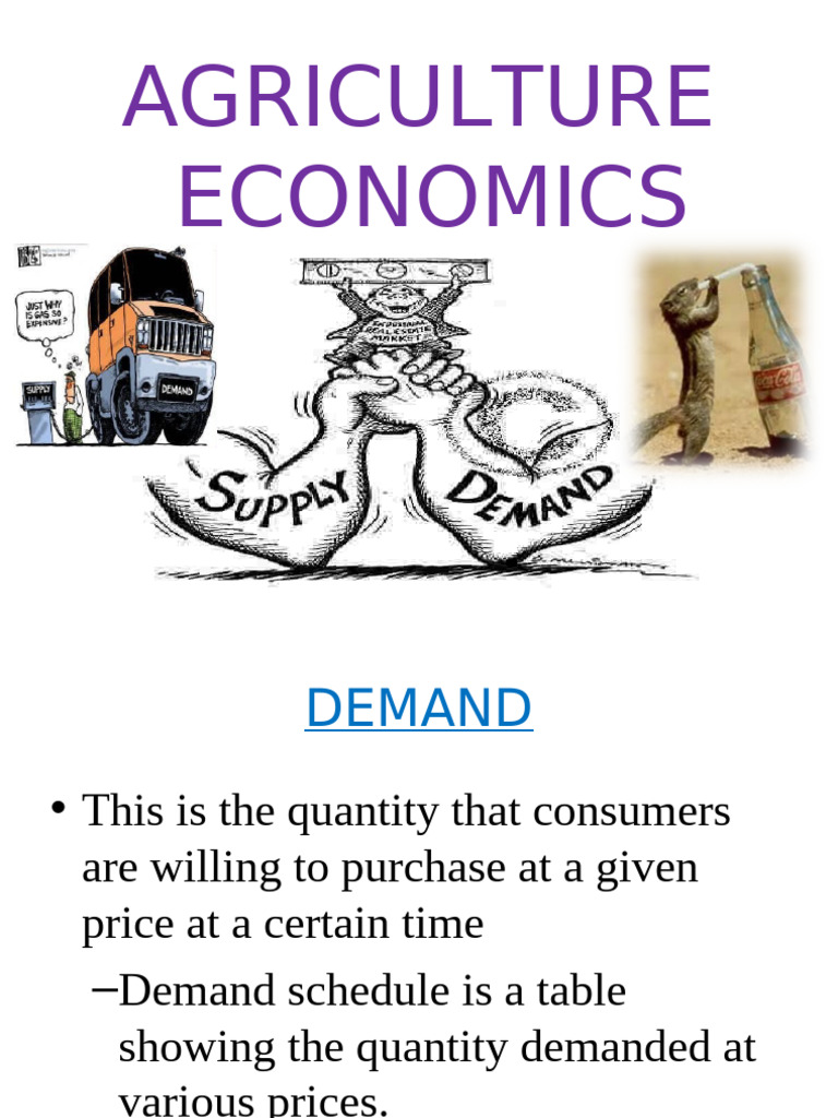 Agri-Econ Grade 9 PT 2 | PDF | Demand | Supply (Economics)