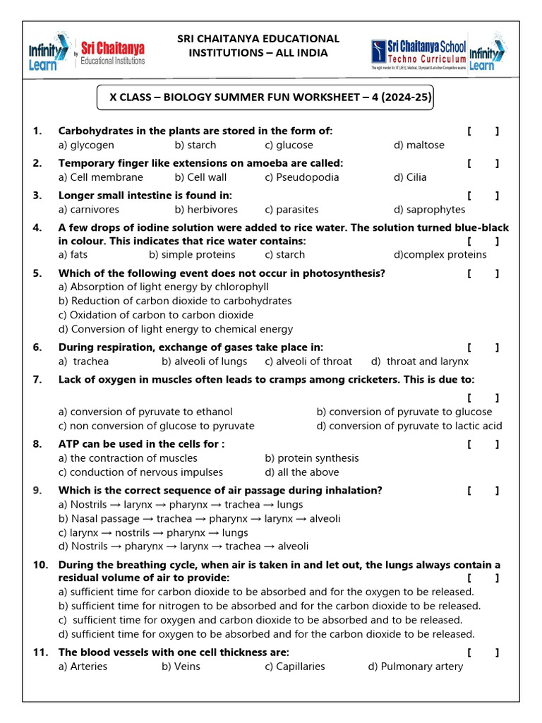 X Class Biology Summer Funworksheets - 4 (Infinity Meta) | PDF ...