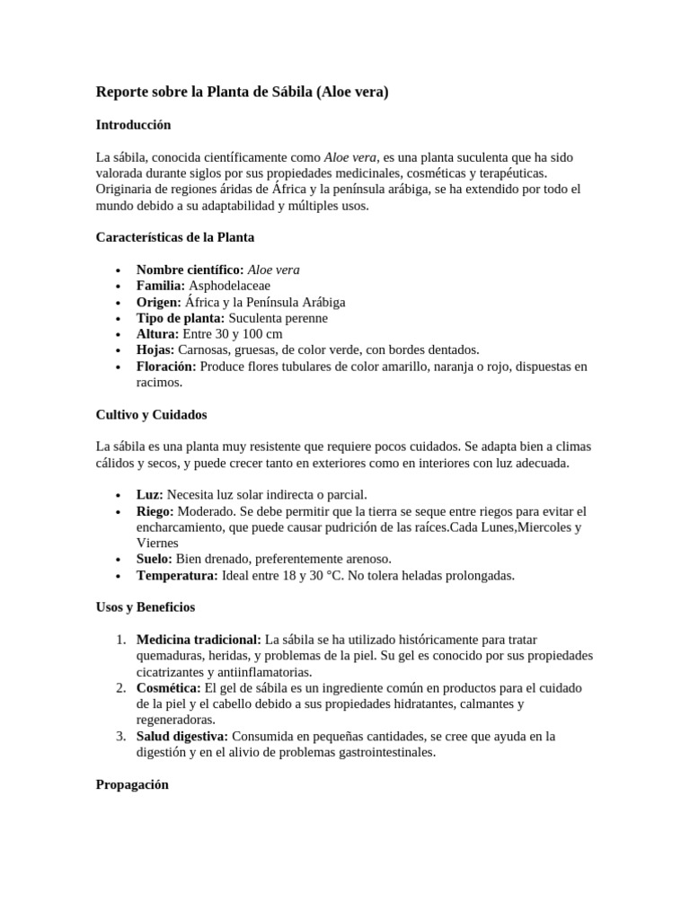 Beneficios y Cultivo de Sábila (Aloe Vera) | PDF