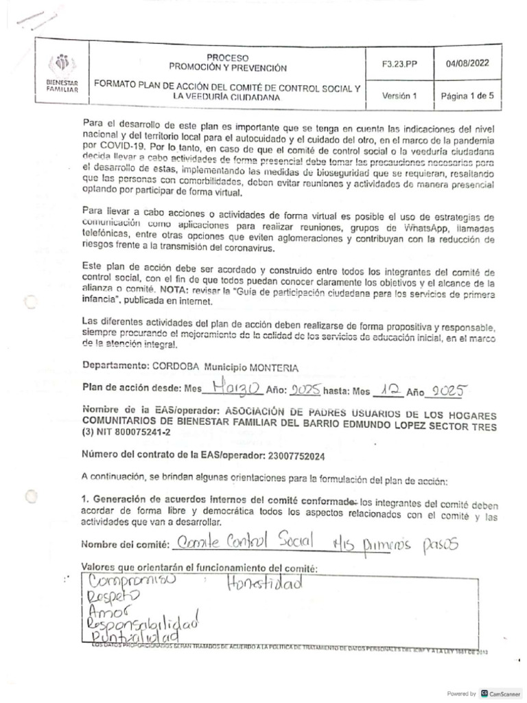Plan de Accion - Mis Primeros Pasos | PDF