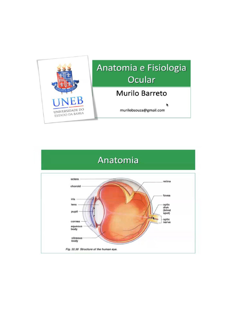 Oftalmo - Aula 01 (Anatomia) - 17.08.21 | PDF