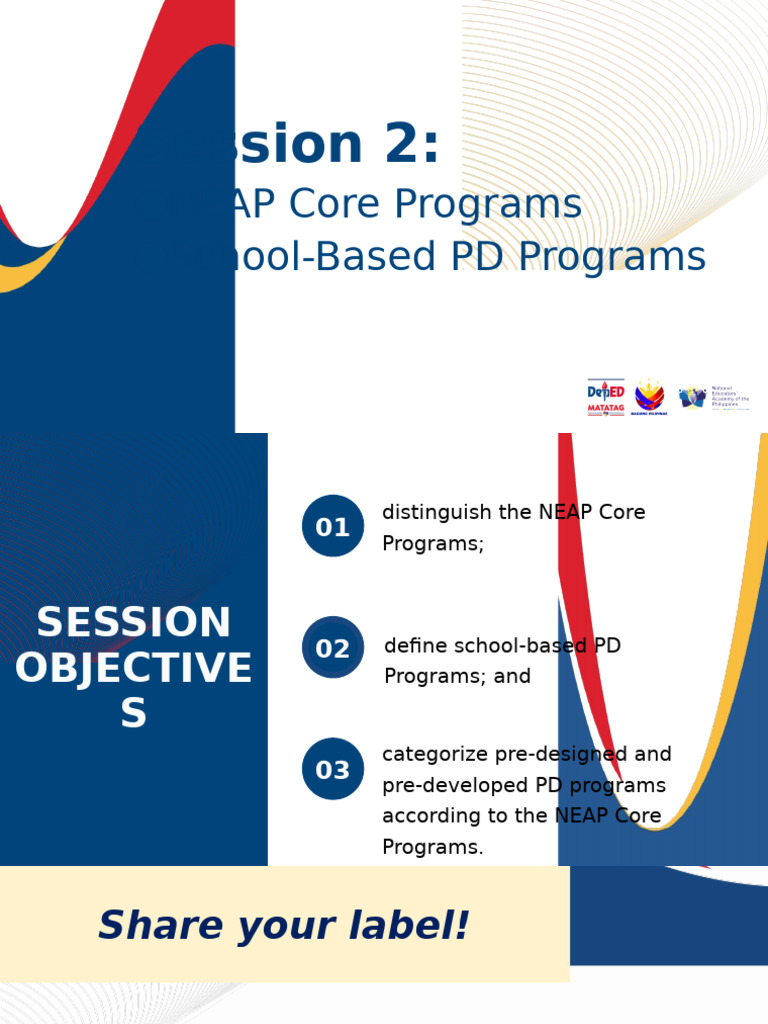 Session 2. NEAP Core Programs | PDF | Teachers | Mentorship