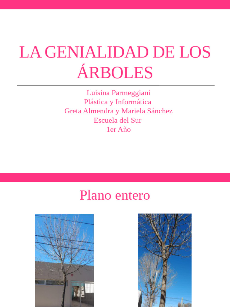 Arboles | PDF