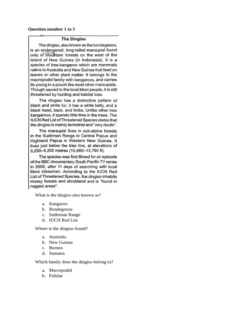 Dingiso Facts and Quiz Questions | PDF | Birds | Zoology