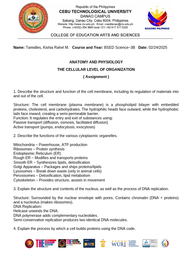 Assignment in Anaphy | PDF | Mitosis | Chromosome