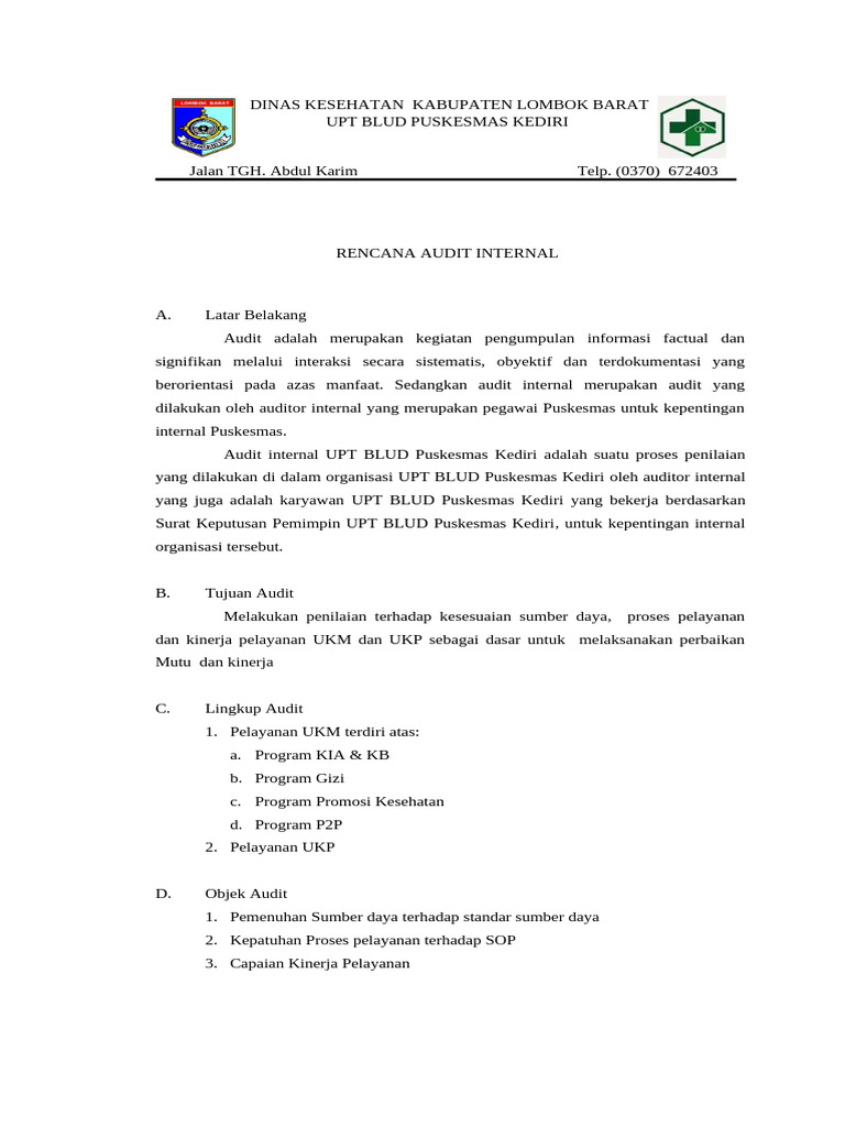 Rencana Audit Internal | PDF