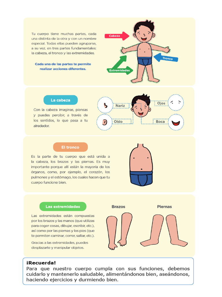 Cuidado y partes del cuerpo para niños | PDF