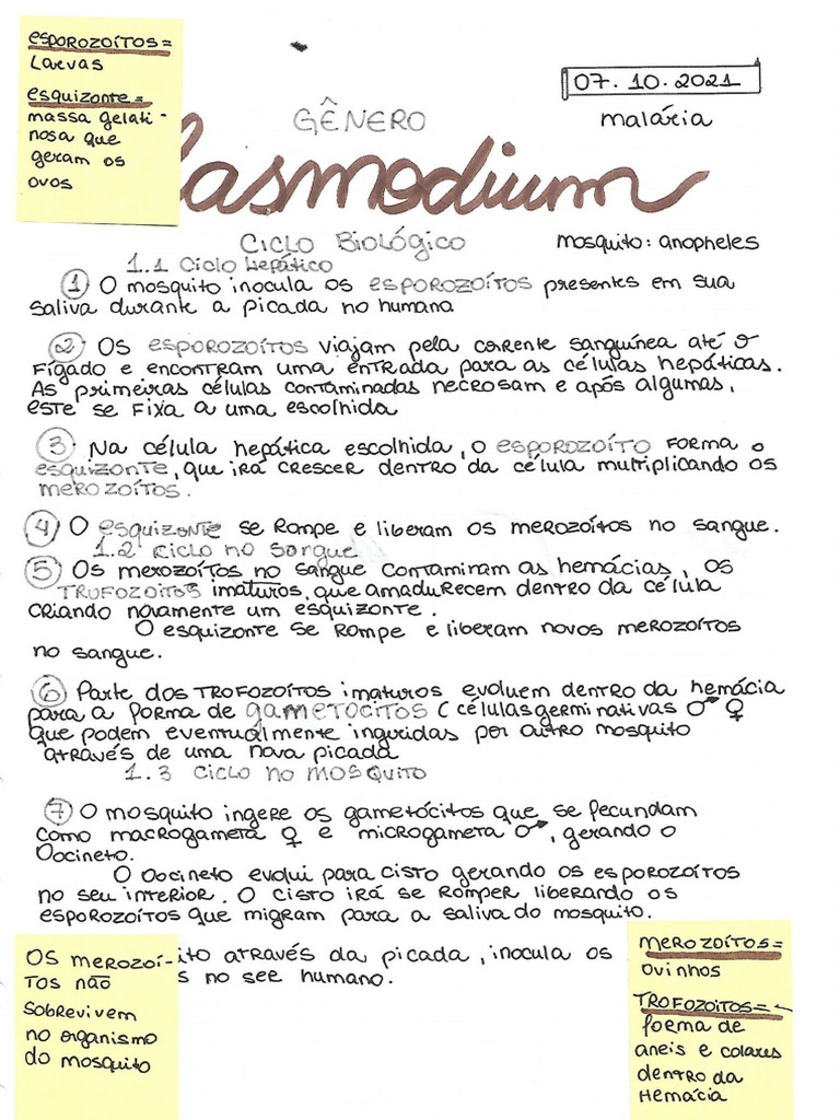 Gênero Plasmodium | PDF