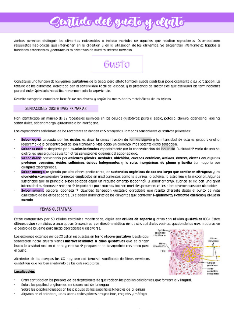 Sentido Del Gusto y 237798 Downloadable 7209329 | PDF