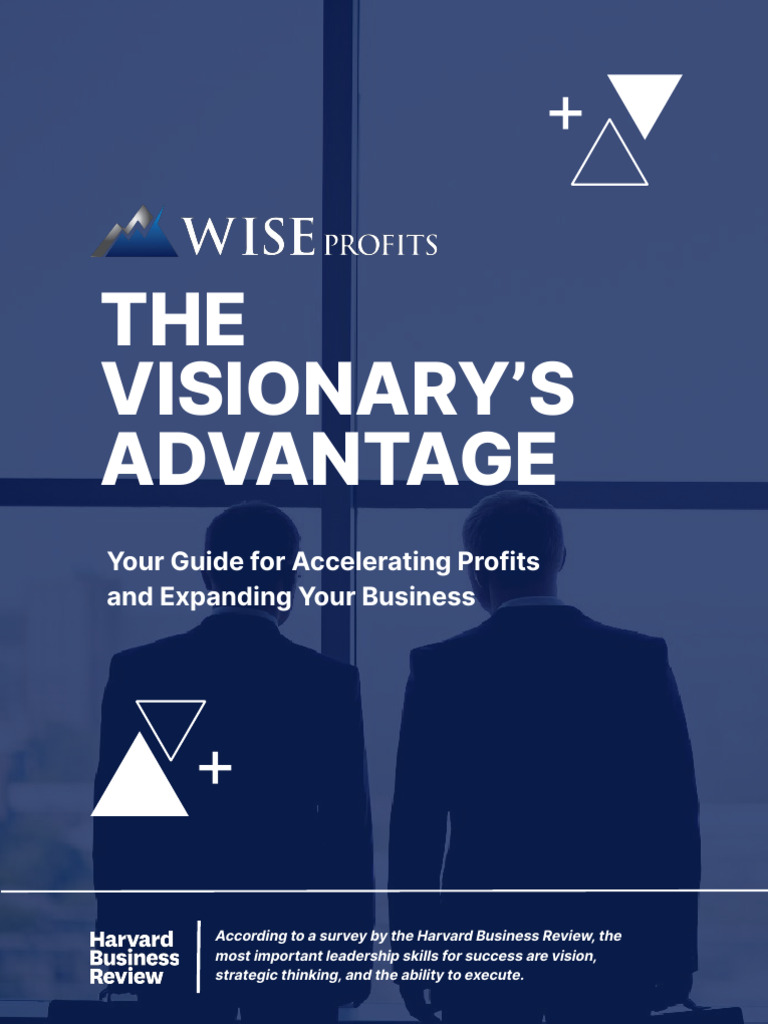 Visionary Integrator Ebook | PDF | Entrepreneurship | Leadership
