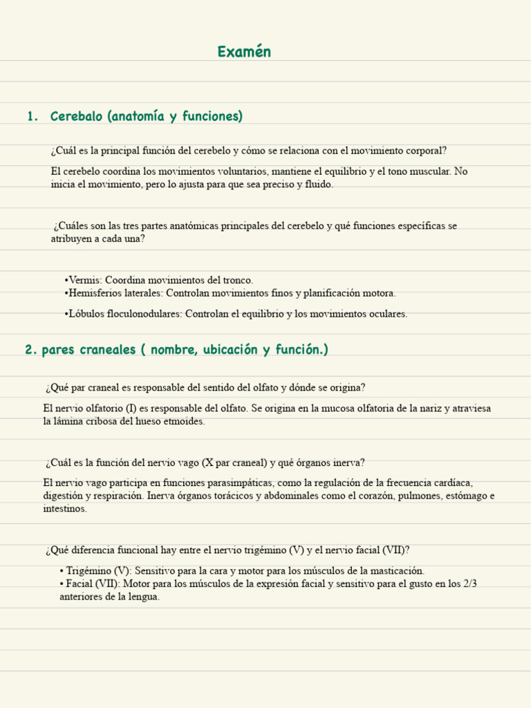 Untitled (Draft) | PDF | Nervio vago | Nervio