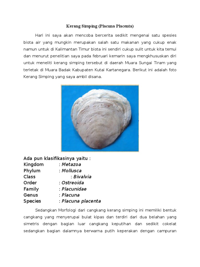 Kerang Simping | PDF | Sains & Matematika