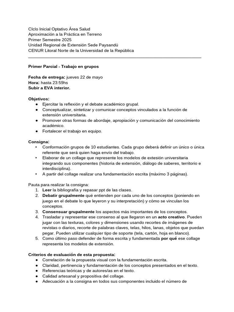 Primer Parcial APT 2025 .. | PDF