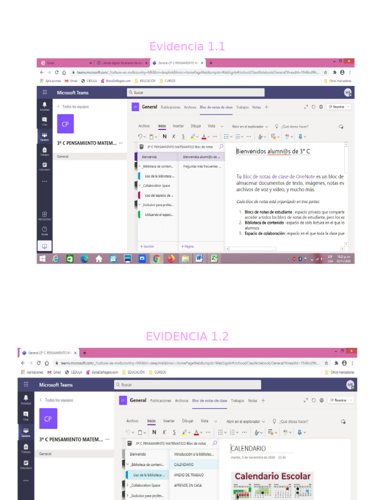 EVIDENCIAS MODULO 1 | PDF