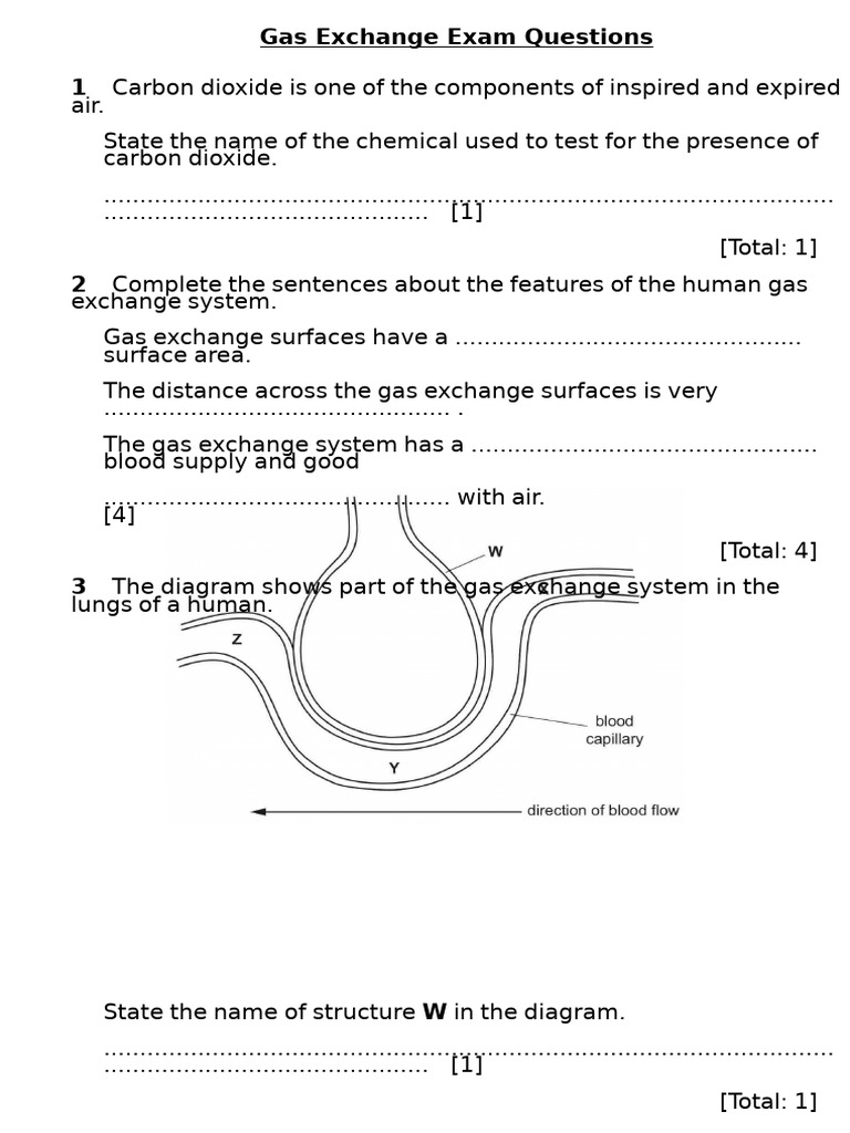 Gas Exchange Exam Qs HW | PDF | Lung | Gases