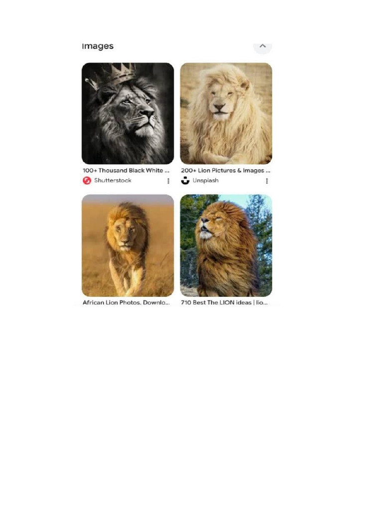 Lion | PDF
