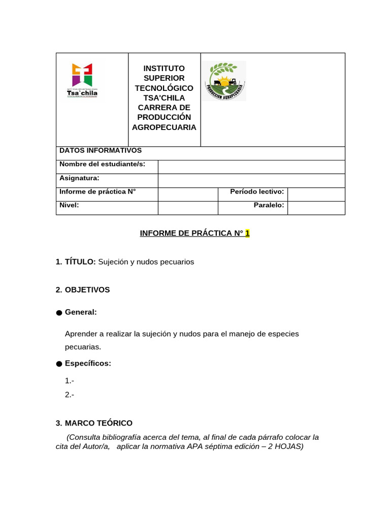 Formato para informe de prácticas | PDF