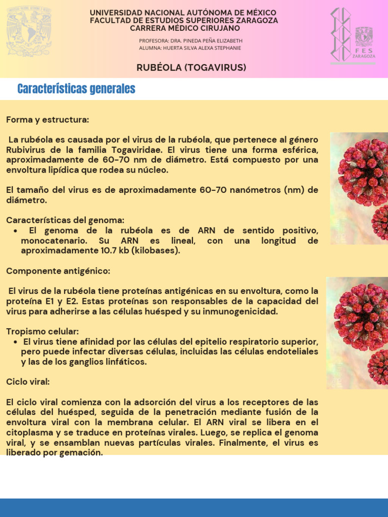 Huerta Silva Alexa Stephanie - S4M3 - 1303 | PDF | Virus | Sistema inmune