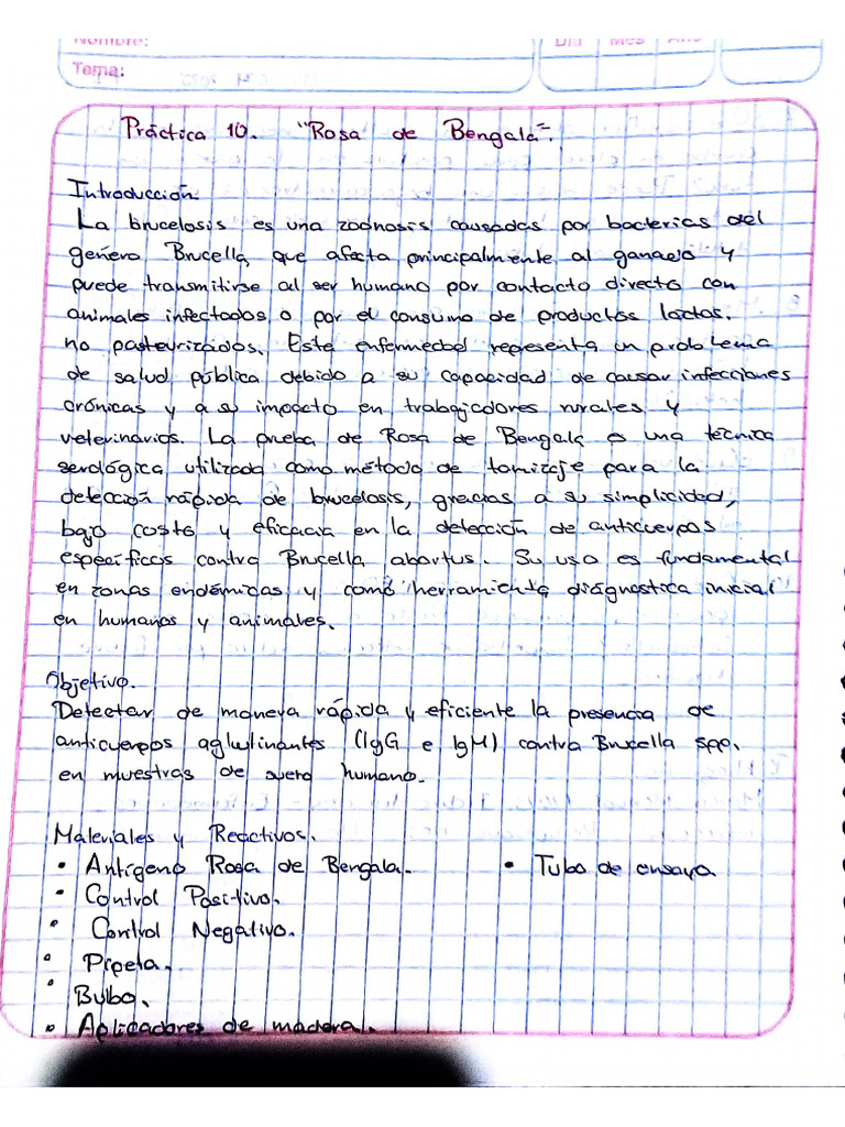 Práctica 10. Rosa de Bengala | PDF