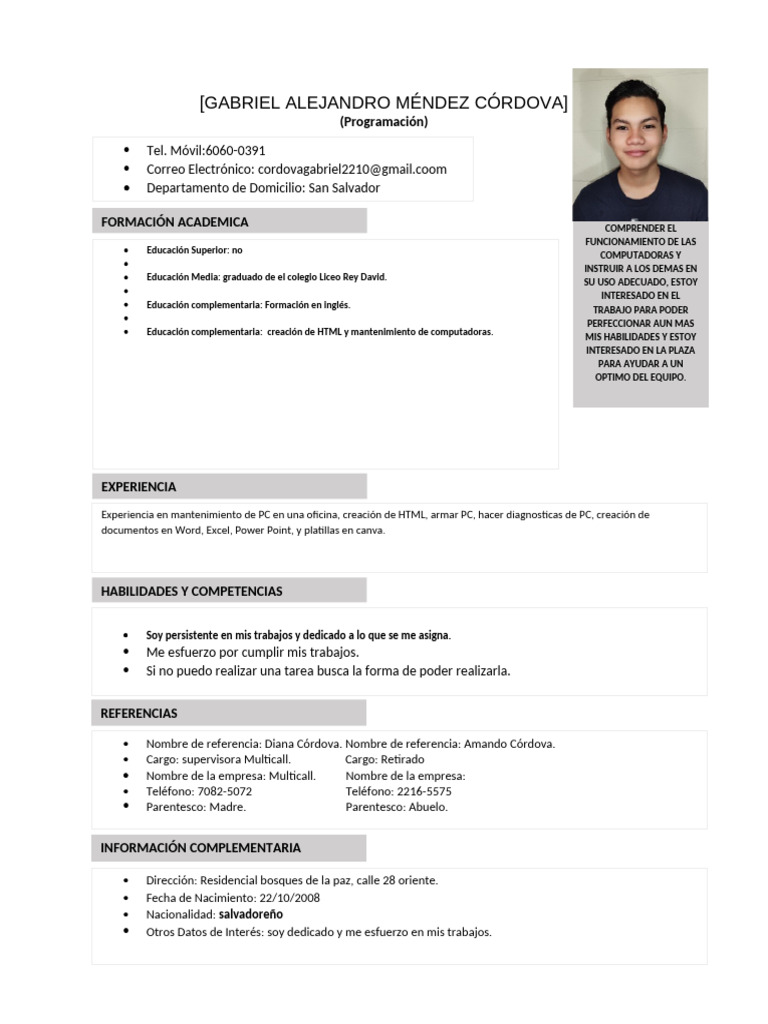 Curriculum Vitae Plantilla | PDF | Informática