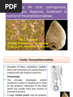 Paramphistomes | PDF