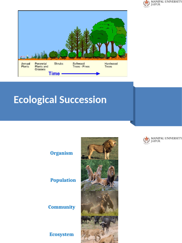 Lec 8 - Ecological Succession | PDF | Ecosystem | Landscape