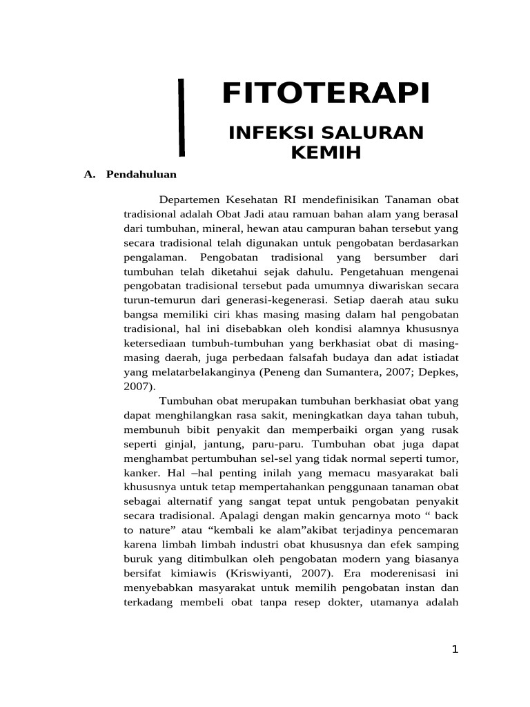 TEMPLETE Tugas Farmasi Bahan Alam | PDF