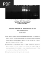 Extracción de ADN - Método CTAB | PDF