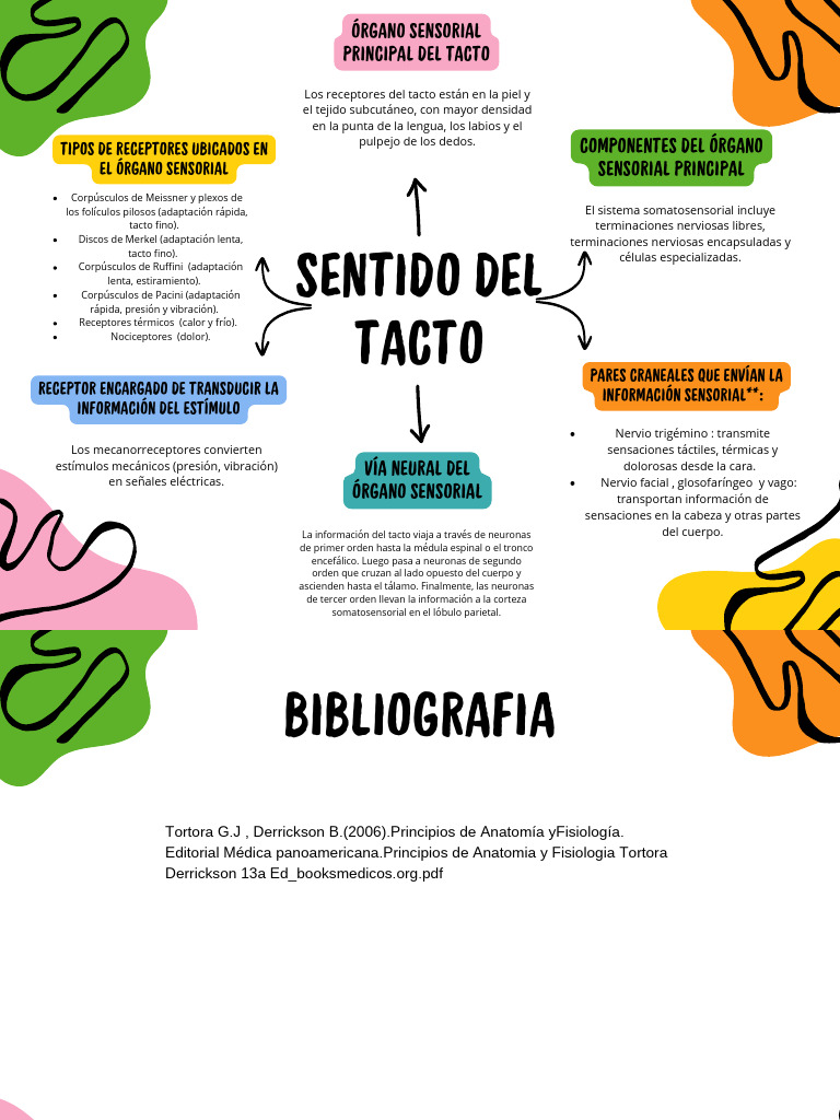 Sentido Del Tacto PDF | PDF | Sistema somatosensorial | Sentidos