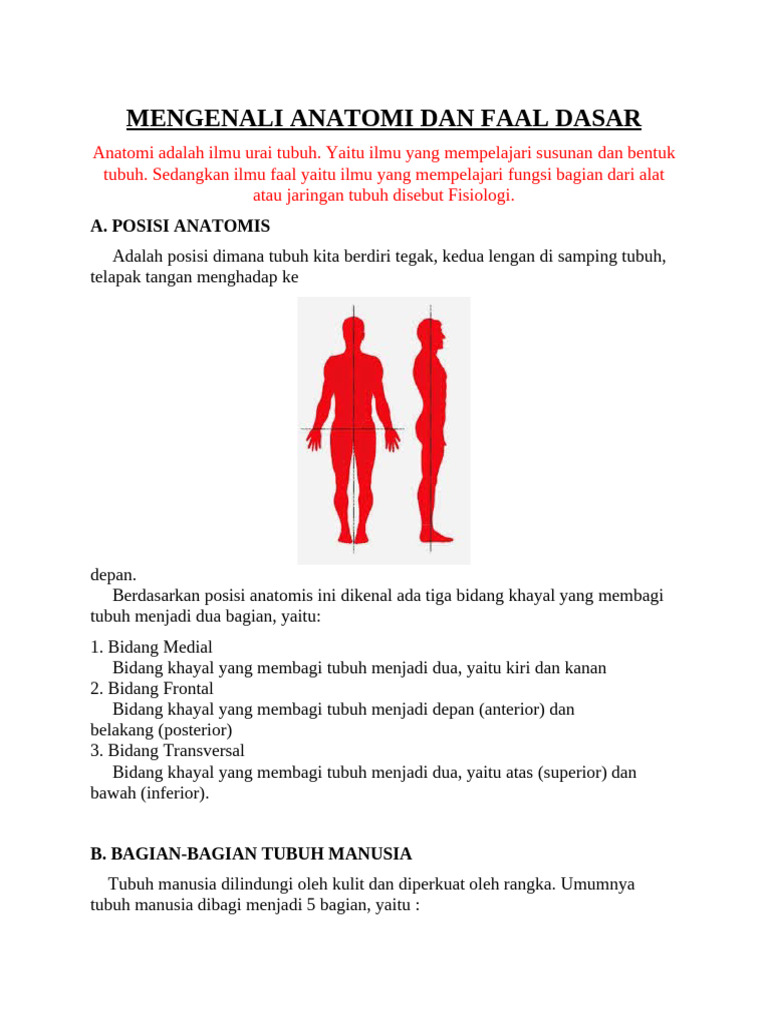 Mengenali Anatomi Dan Faal Dasar | PDF