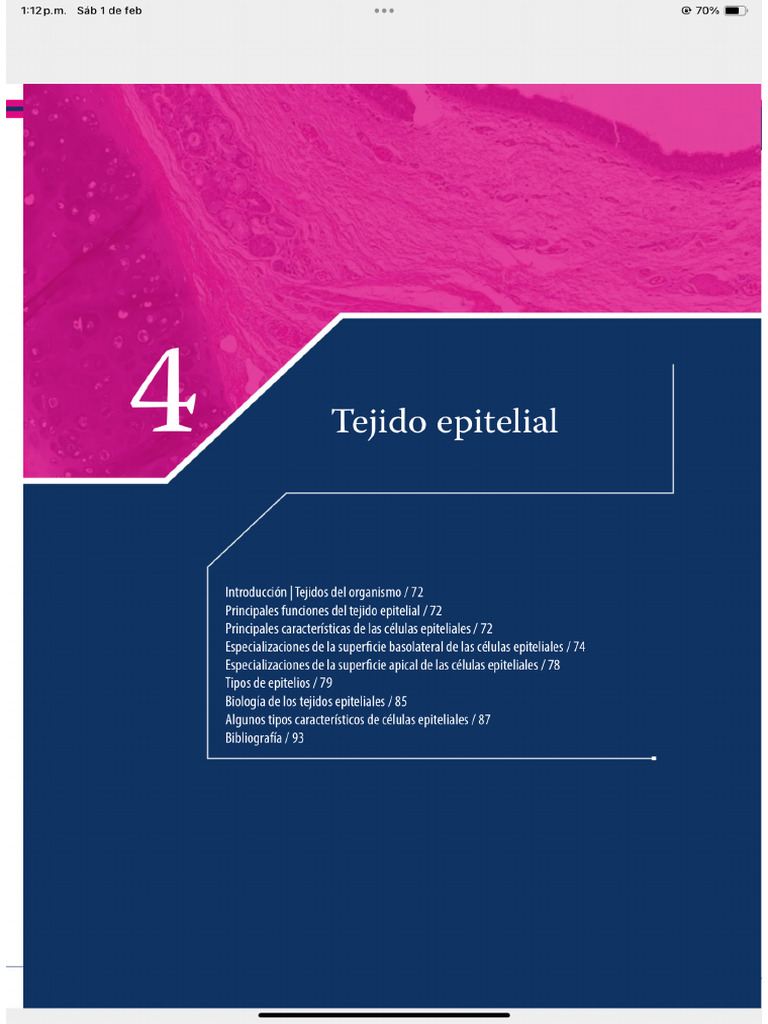 Histo Junqueira Cap4 | PDF