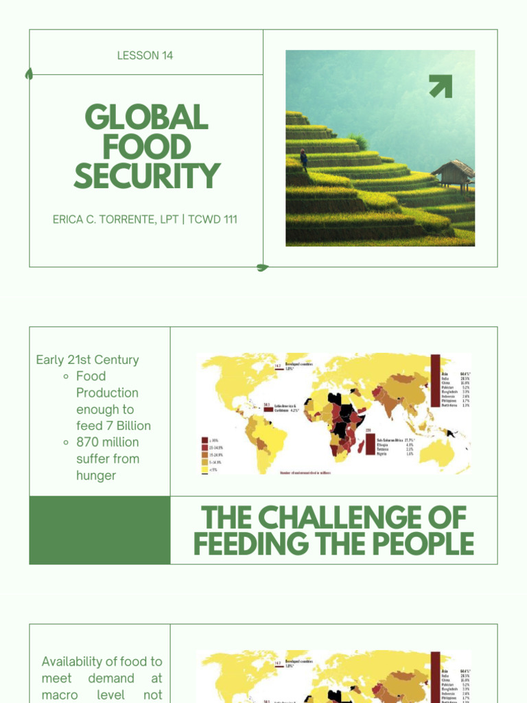 14-TCWD-111-GLOBAL-FOOD-SECURITY | PDF | Hunger | Food Security