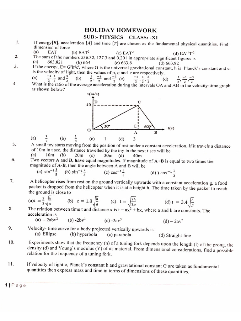 Physics Holiday Homework | PDF