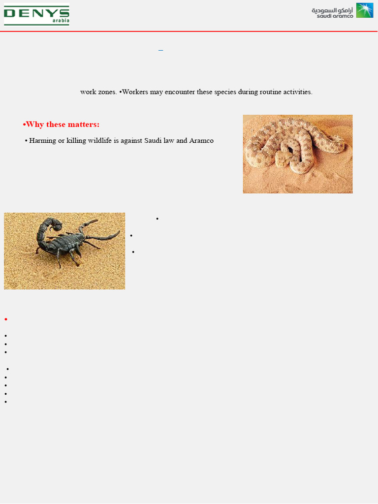 Desert Wildlife Protection Awareness | PDF