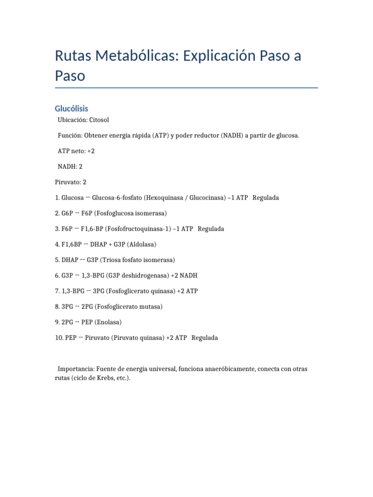 Rutas_Metabolicas_Completas | PDF