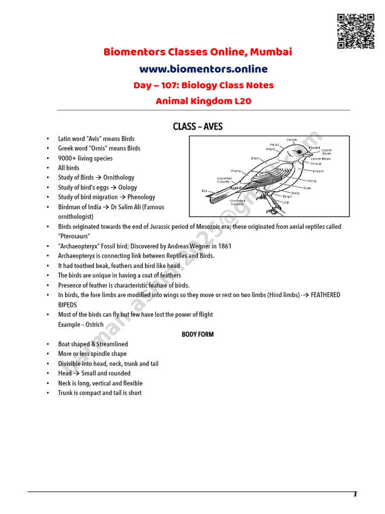 Lecture - 20 Notes Animal Kingdom | PDF | Birds | Lung