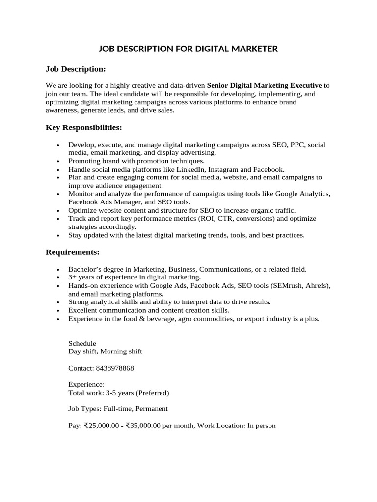 Senior Digital Marketing Executive Role | PDF