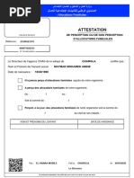 Remplir le formulaire E411 CAF | PDF | Droit