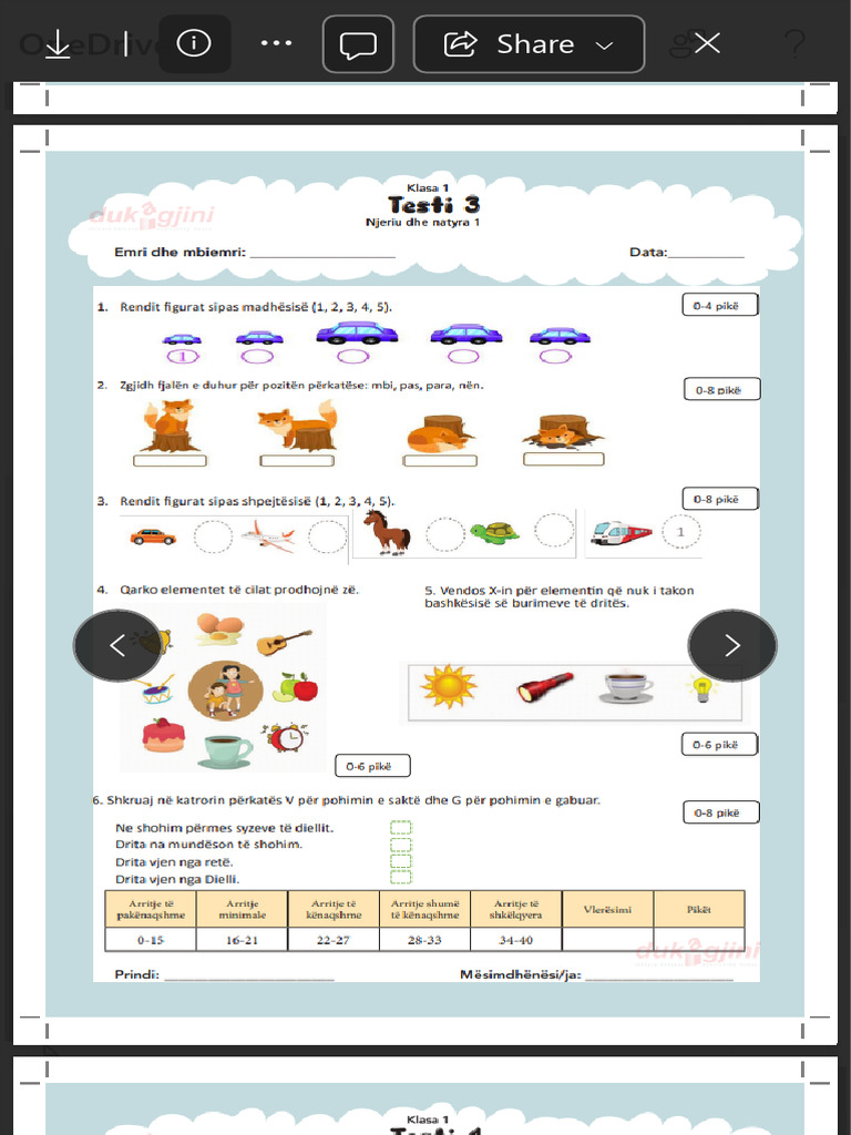 Dukagjini - Klasa 1 - Pako e Vleresimit & Vetevleresimit4 - Onedrive | PDF