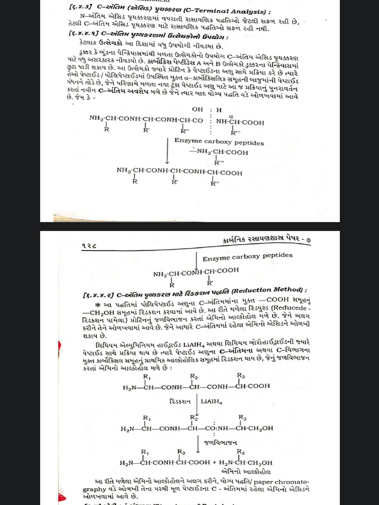 C - Terminal & N - Terminal Analysis | PDF